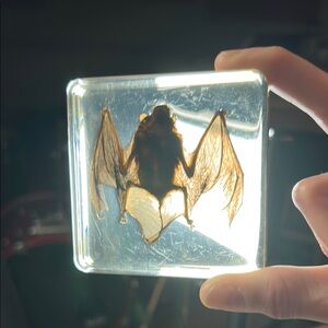 Etsy | Art | Golden Brown Bat Resin Art Block | Poshmark